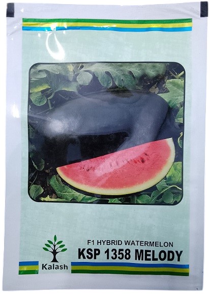 Kalash Seeds F1 Ksp 1358 Melody Watermelon Seeds - Sweet